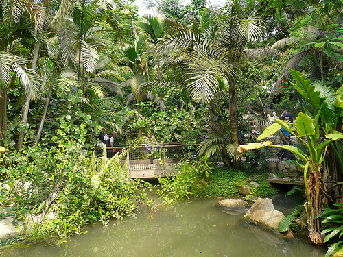 Eden Project - United Kingdom